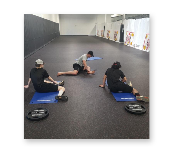 MSR Goalie Program | 2SP Sports Performance